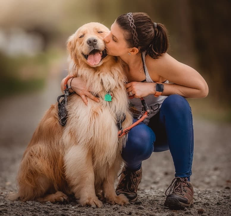 Top 10 Products Every Dog Owner Needs to Have in 2023 | News | Chennai ...